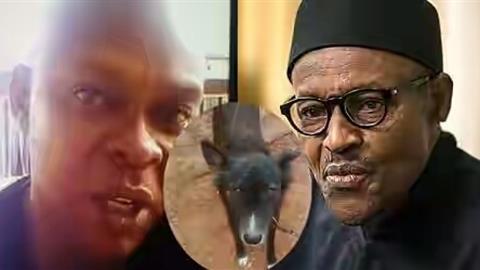 City News Services 城市资讯服务商