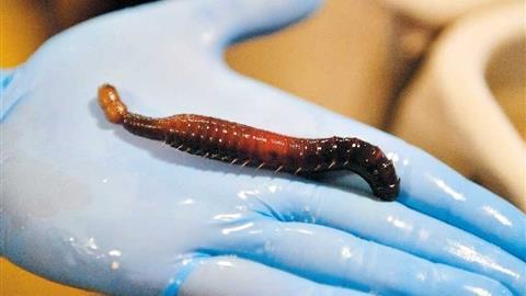 City News Services 城市资讯服务商