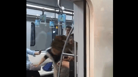 City News Services 城市资讯服务商