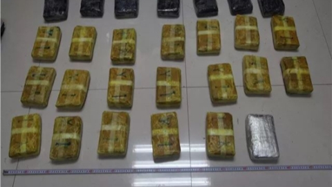 Cross-border drug gang busted in SW China - SHINE News
