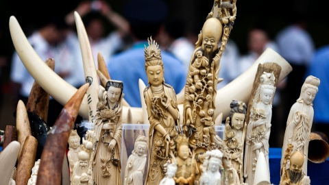 Ivory carvers try to find ways to keep skills alive - SHINE News