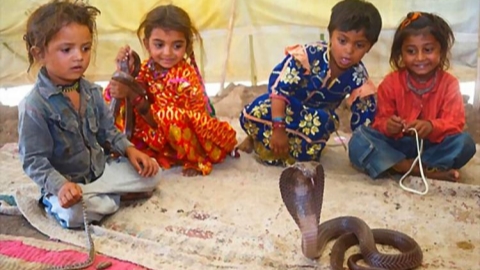 UN: Parents neglect leads to more Indian girls dying - SHINE News