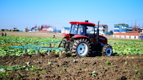 China to expand trials of crop rotation, fallow systems - SHINE News