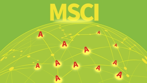 MSCI launches new China indexes as reference for investors - SHINE News