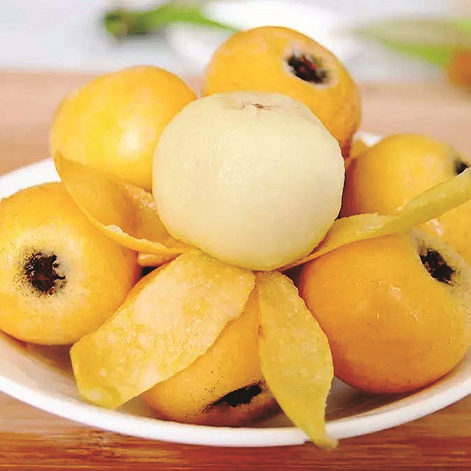 City News Services 城市资讯服务商