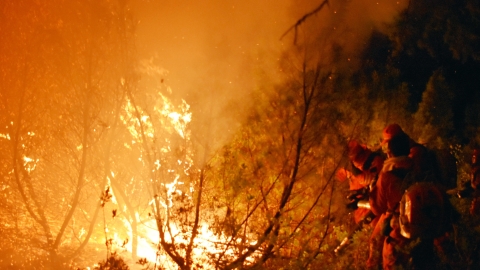 Forest fire put out in Inner Mongolia - SHINE News