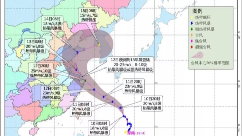 City News Services 城市资讯服务商