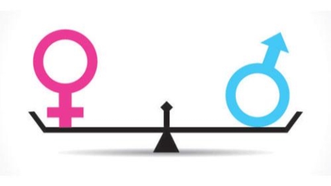 Big data key to hit gender equality target - SHINE News