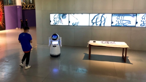 AI startup Ubtech unveils humanoid robot to target consumer market ...