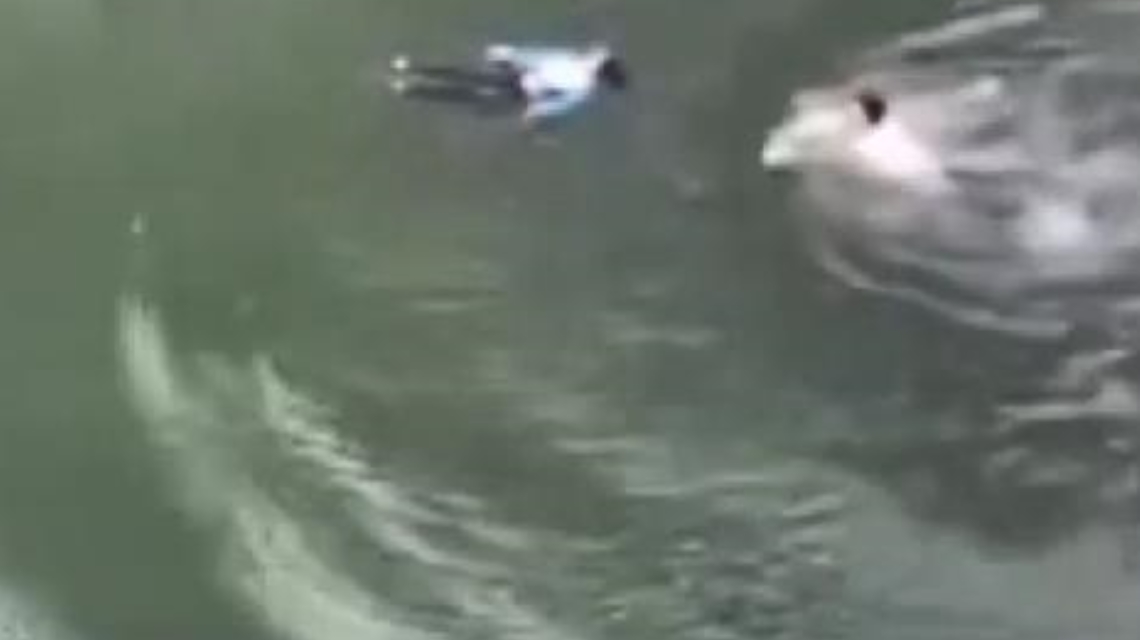 Man helps police rescue drowning girl - SHINE News