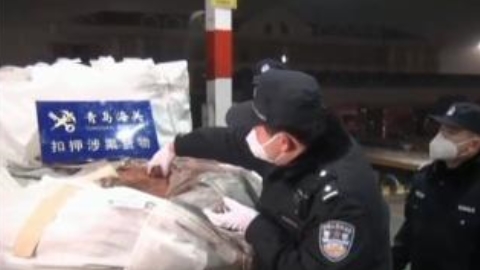 China's customs seize 91,600 tons of smuggled waste - SHINE News