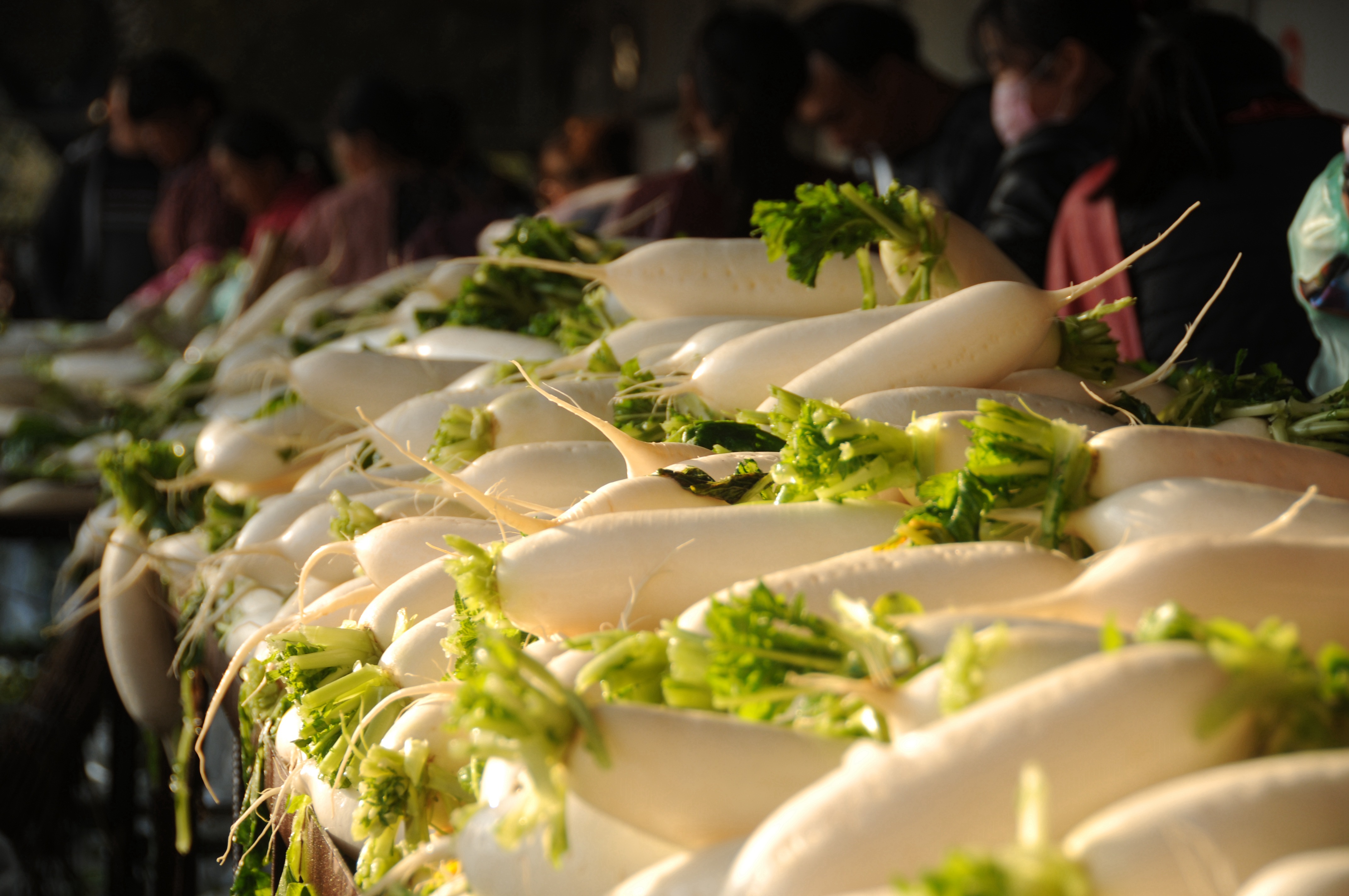 City News Services 城市资讯服务商