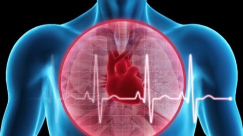 Chinese scientists design heartbeat-powered cardiac pacemaker - SHINE News