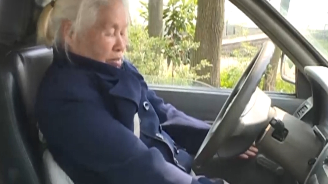 Determination helps senior citizen pass practical driving test - SHINE News