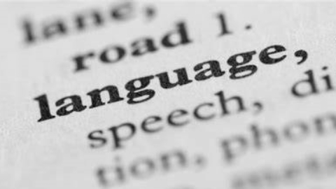 City News Services 城市资讯服务商