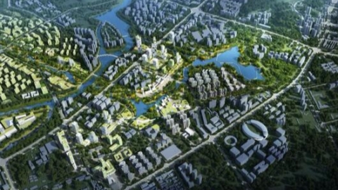 China's largest FTZ aims high in bettering environment - SHINE News