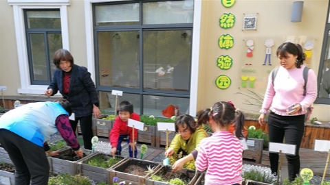 Call for better-quality community services - SHINE News