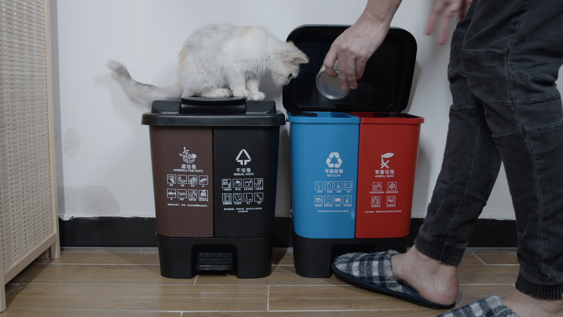 Hints and tips to make garbage sorting more fun, and more easy - SHINE News