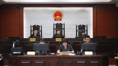 IP court of SPC opens first circuit trial - SHINE News