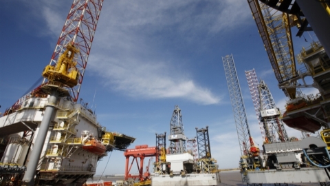 Lingang embodies China's opening-up policy - SHINE News