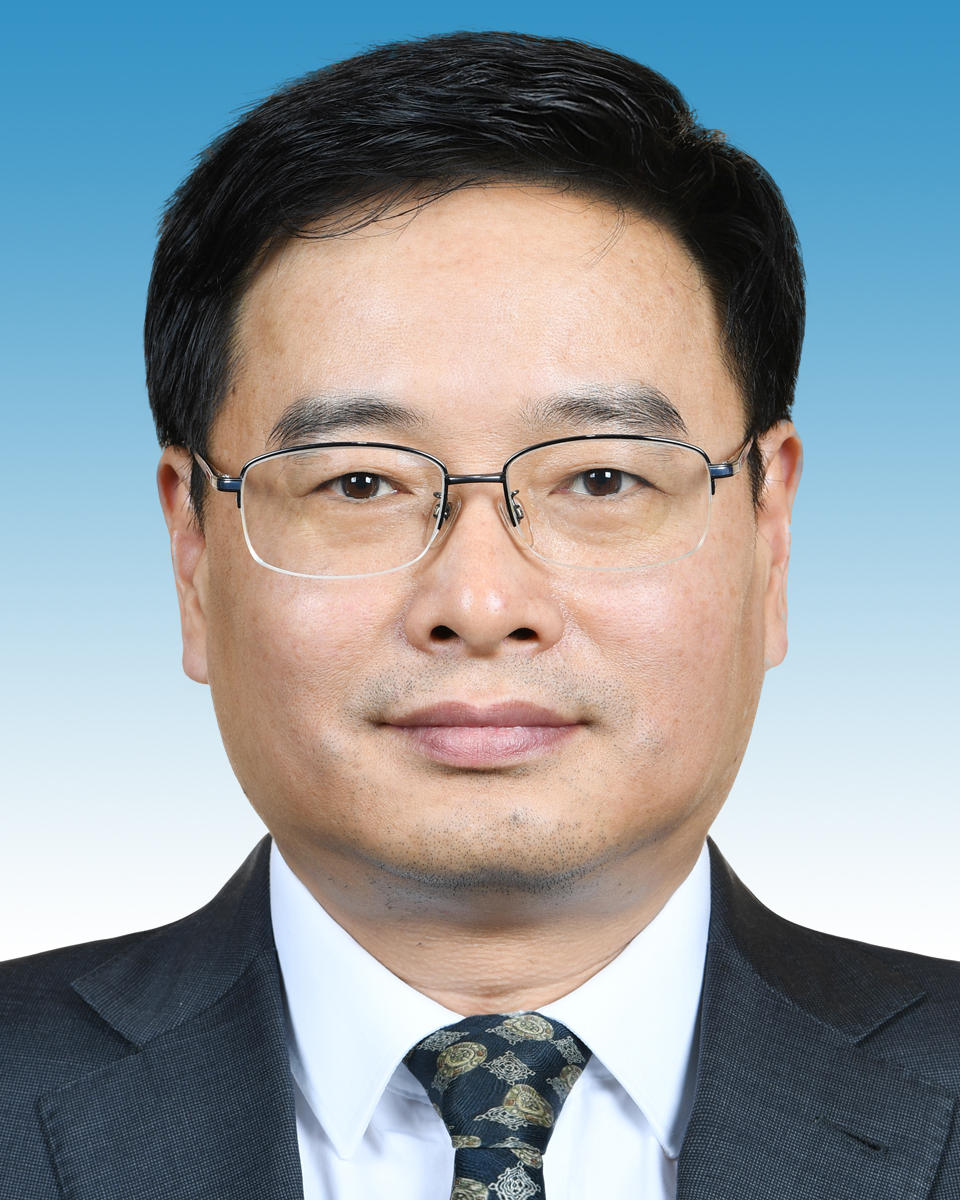 New vice mayor appointed