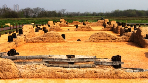 City News Services 城市资讯服务商