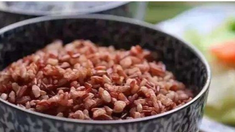 City News Services 城市资讯服务商