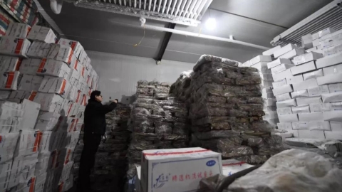 Beijing customs busts frozen seafood smuggling ring - SHINE News