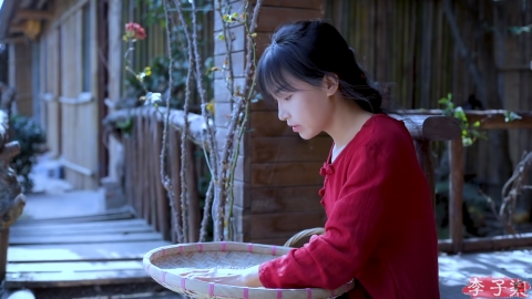 Chinese food vlogger cooks up YouTube storm - SHINE News