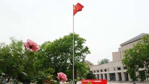 City News Services 城市资讯服务商