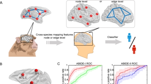 Monkeys offer hope for autistic children - SHINE News