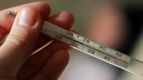 Trench Fever makes historic return to Colorado - SHINE News