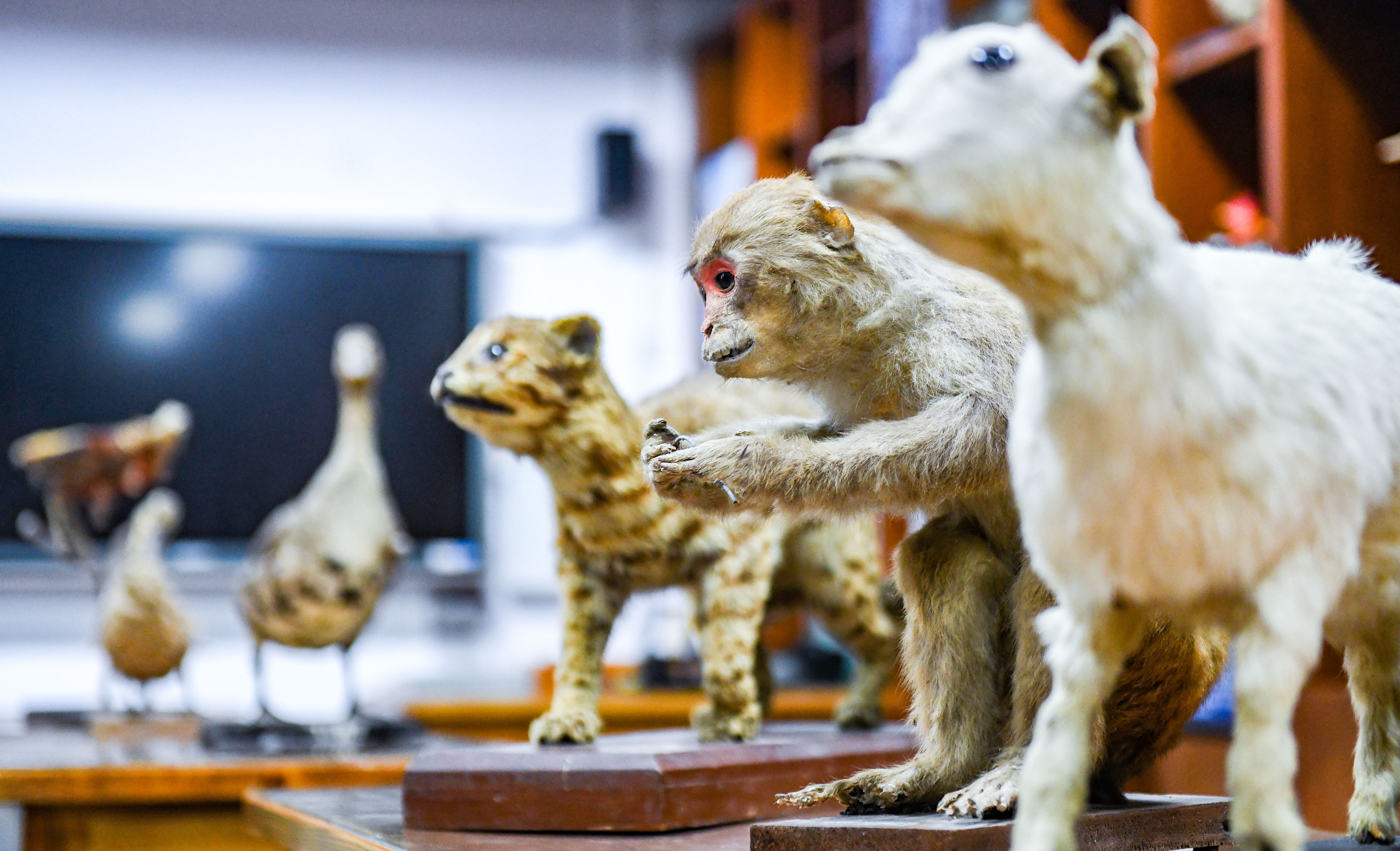 Are the 'old fellows' all right? An old science teacher keeps asking ...