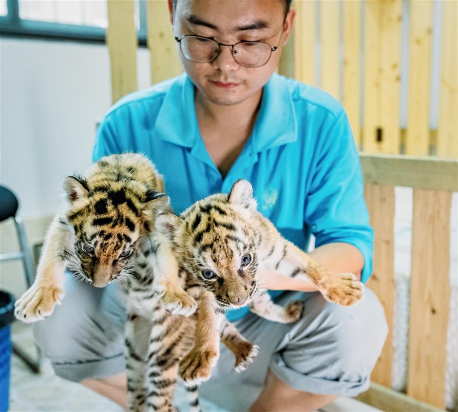 City News Services 城市资讯服务商