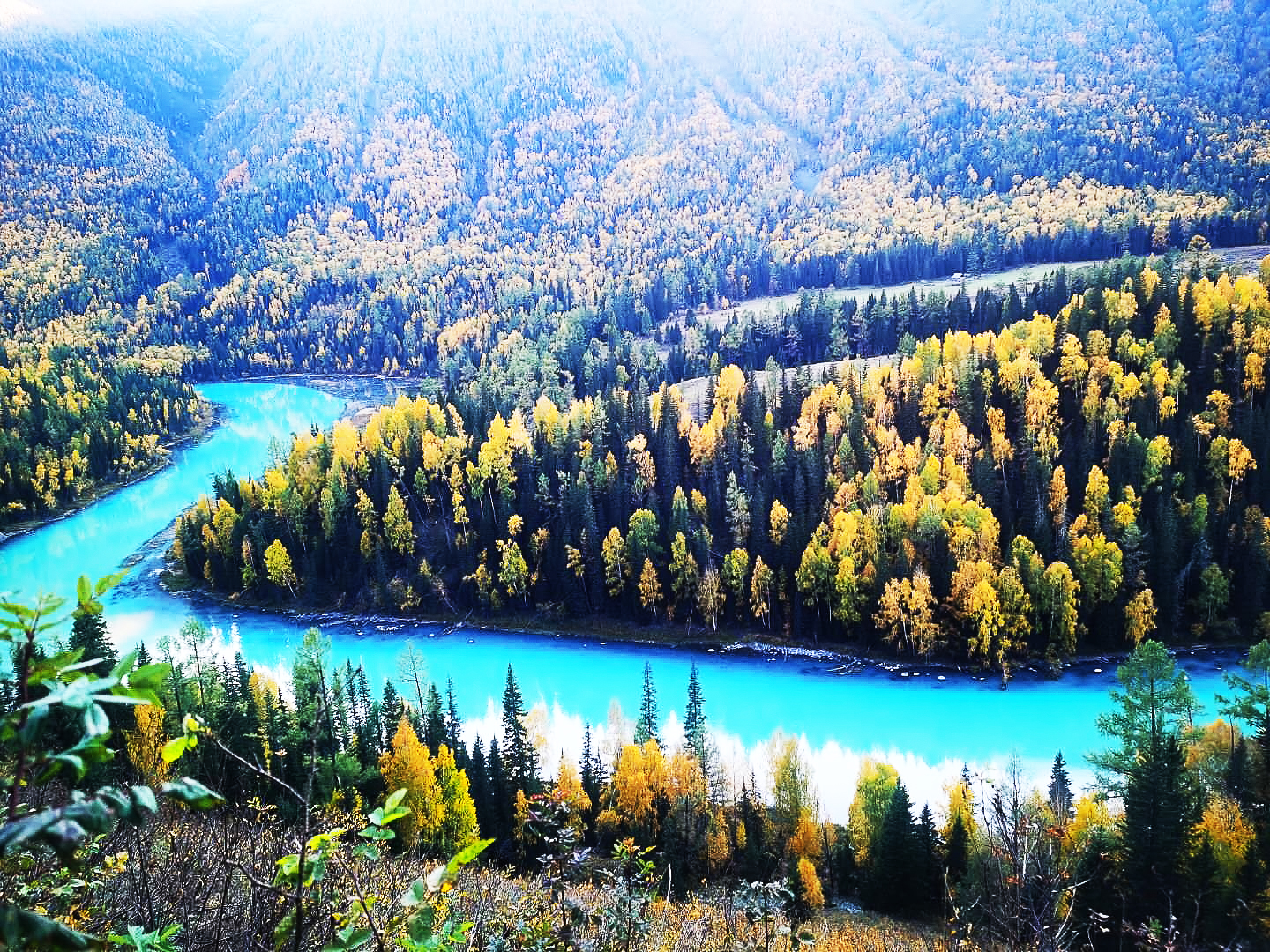 Altay Prefecture shows off seasonal splendor in Shanghai - SHINE News