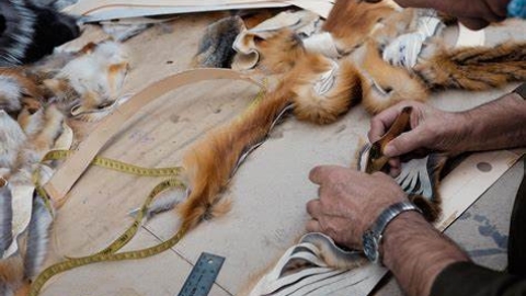 Israel to ban fur trade with a few exceptions - SHINE News