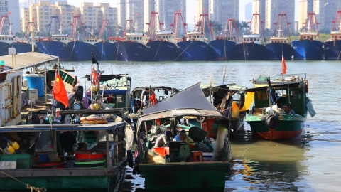 Ferry services suspended in south China as typhoon approaches - SHINE News
