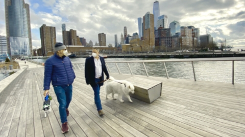 City News Services 城市资讯服务商