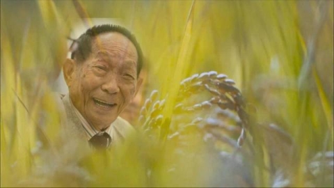 Tributes to China's 'father of hybrid rice' - SHINE News