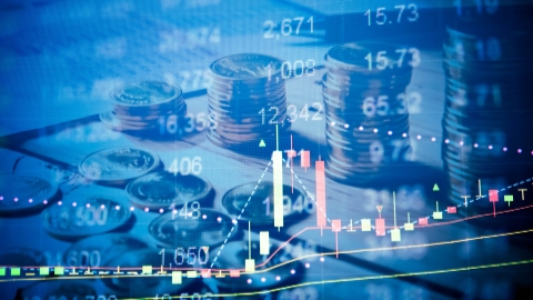 China's Bond Connect program sees robust trading in August - SHINE News