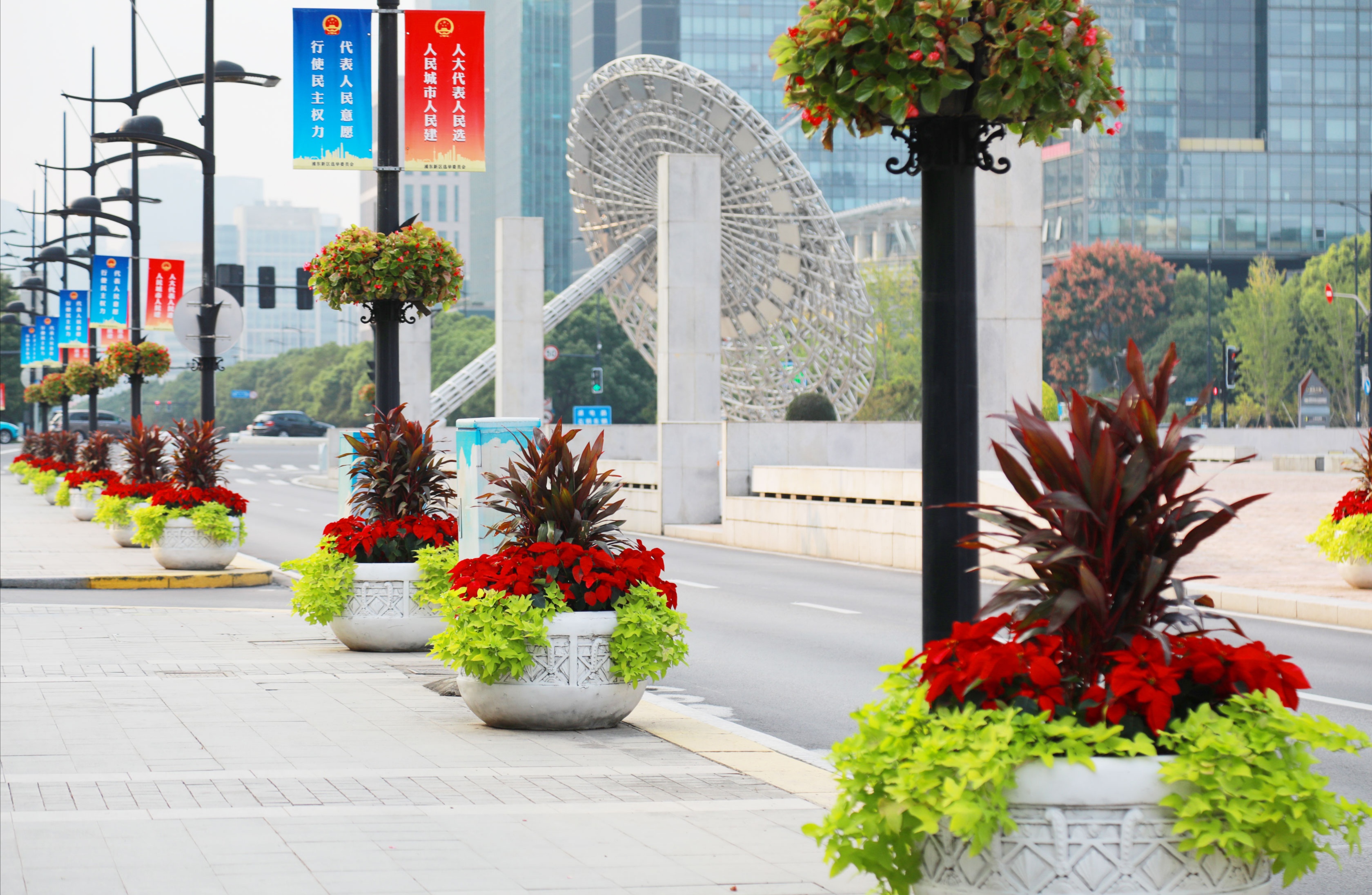 Millions of flowers beautify city for holiday celebration - SHINE News