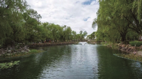 City News Services 城市资讯服务商