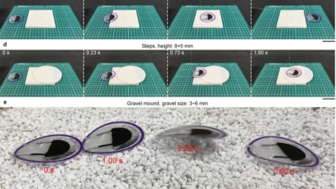 City News Services 城市资讯服务商