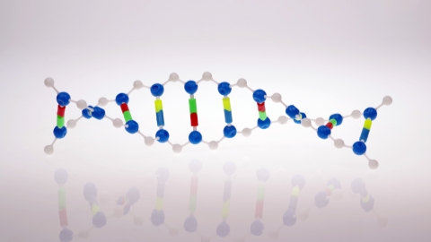 Global experts build microbial gene catalog - SHINE News