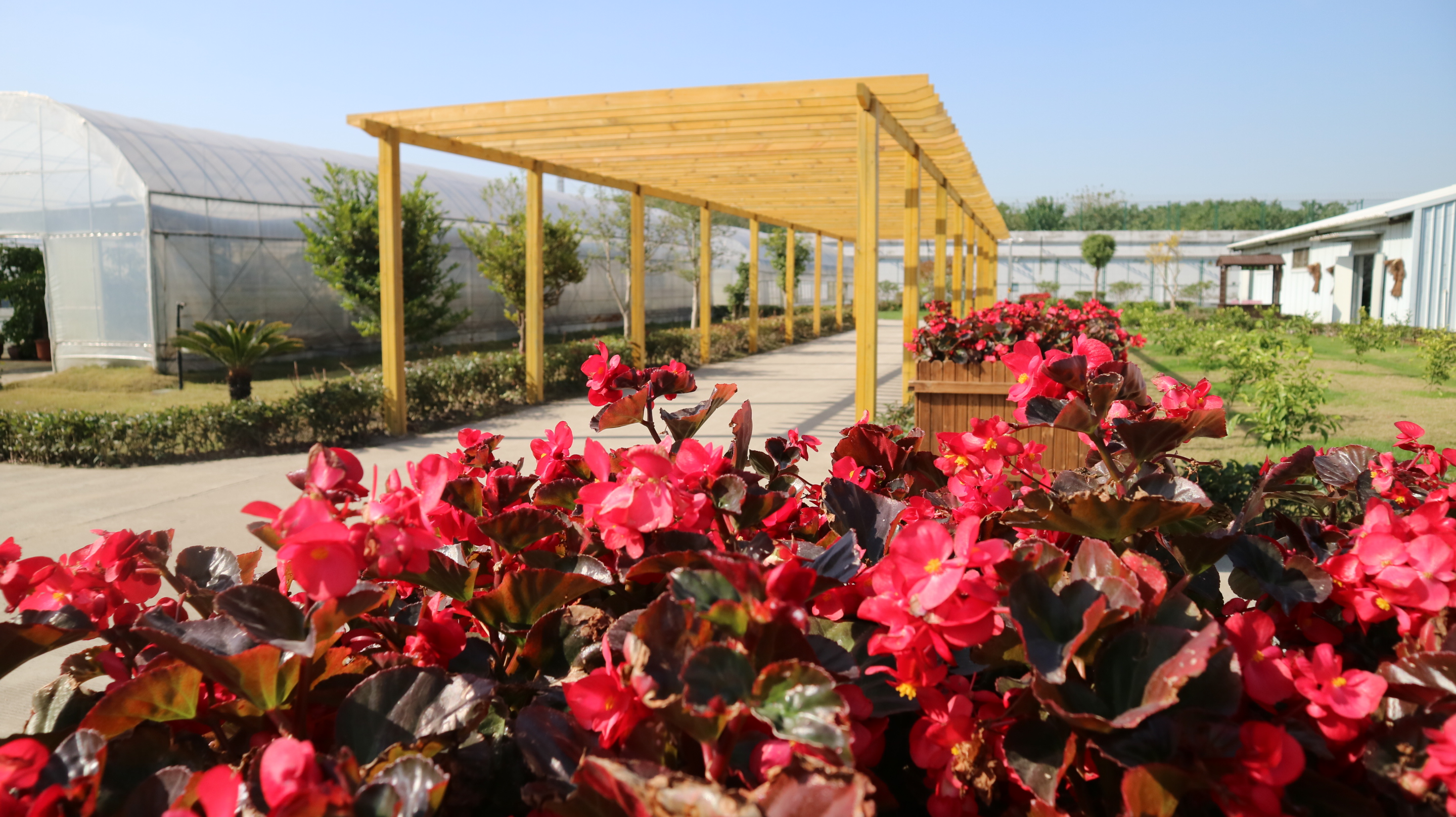 City News Services 城市资讯服务商