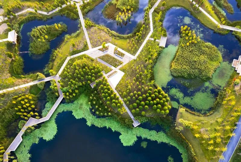 Shanghai plans 4 new green parks by 2025