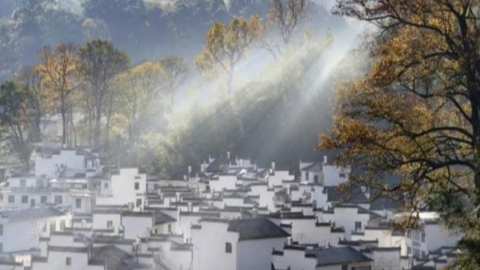 City News Services 城市资讯服务商