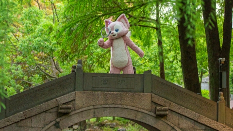 City News Services 城市资讯服务商