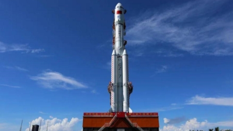 City News Services 城市资讯服务商