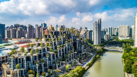 City News Services 城市资讯服务商